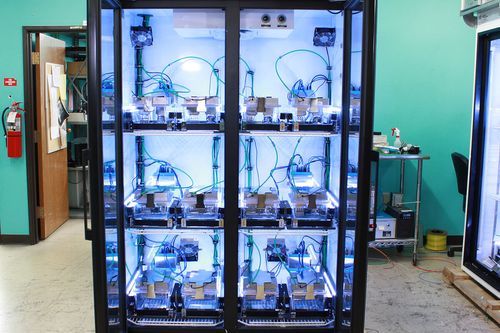 Oxymax-CLAMS-HC | Life Science Products | Columbus Instruments