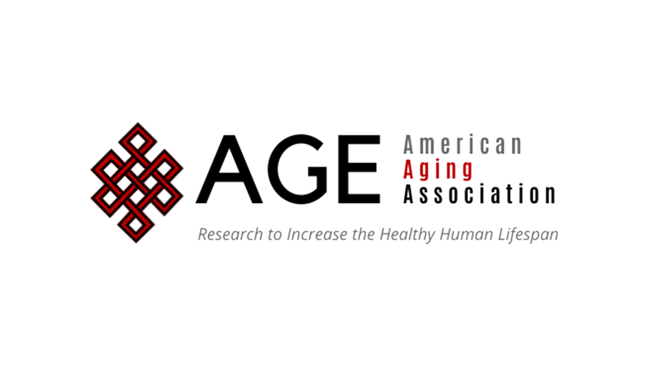 American Aging Association