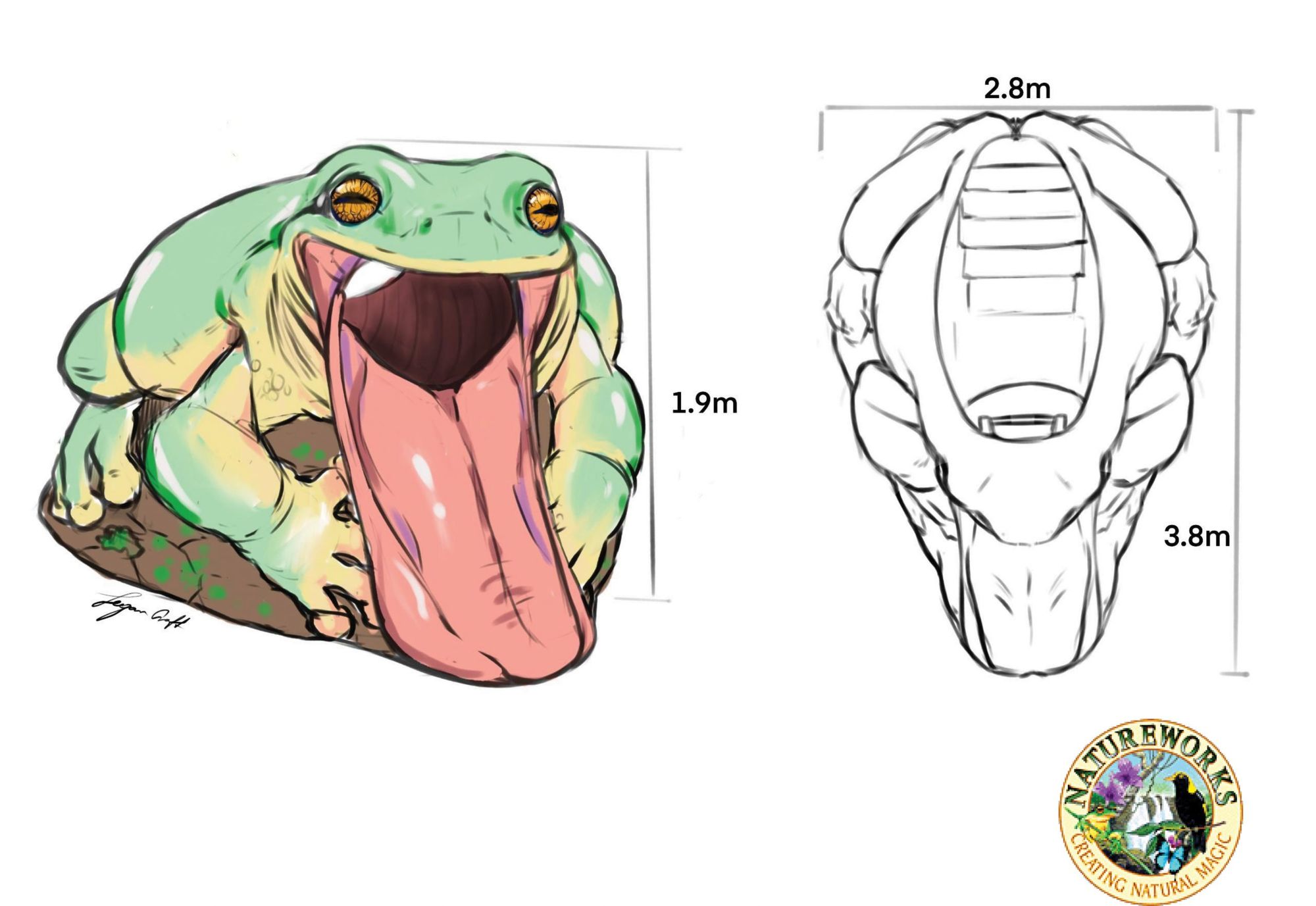 Frog Slides | Pico Play | Attraction Design Company