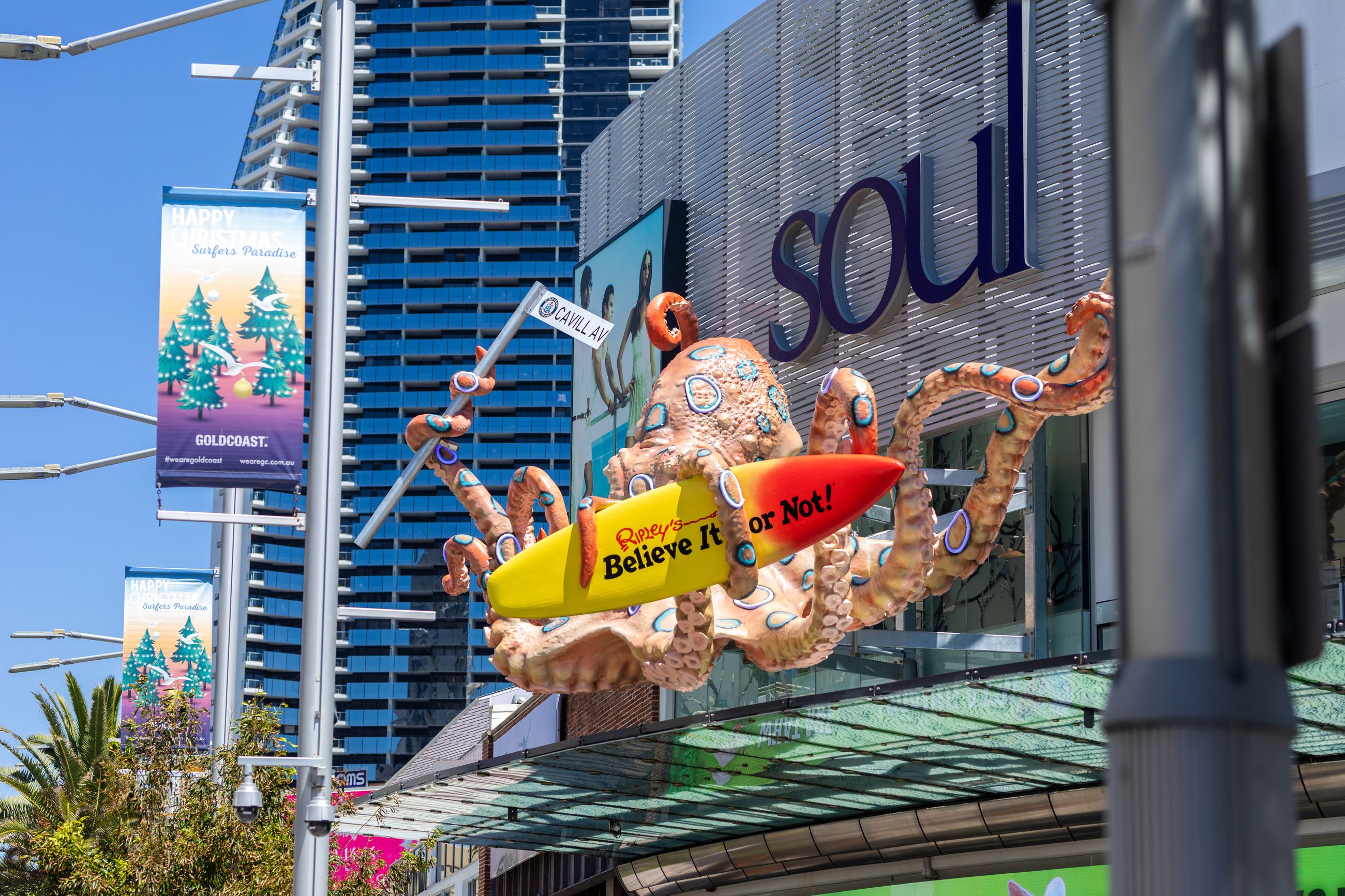 Ripley's Believe It Or Not! - The Big Octopus | Pico Play | Attraction ...