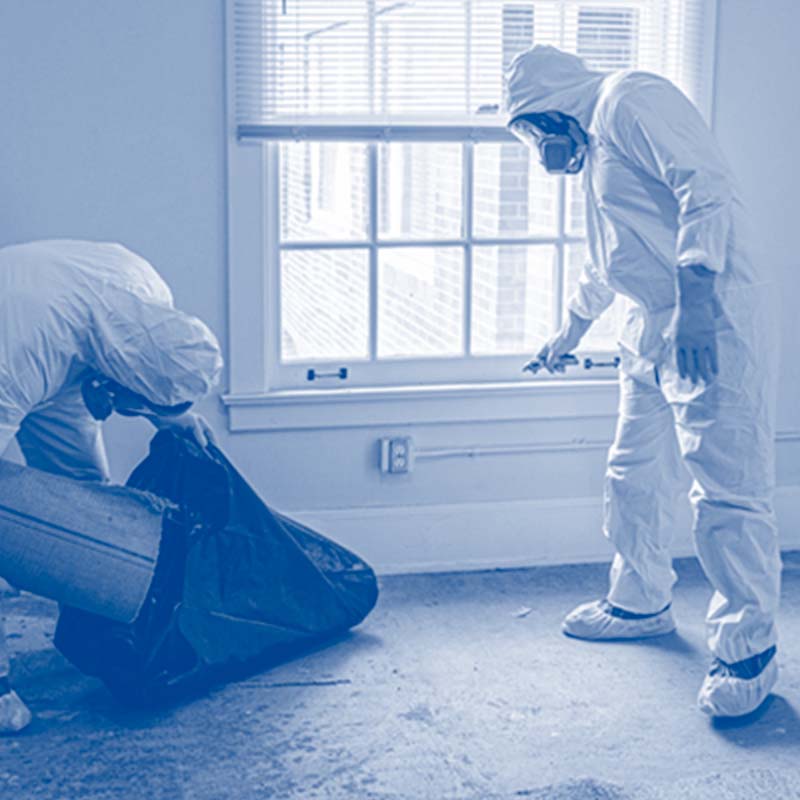 Trusted Professional Cleaning Company | Cleanse Force UK