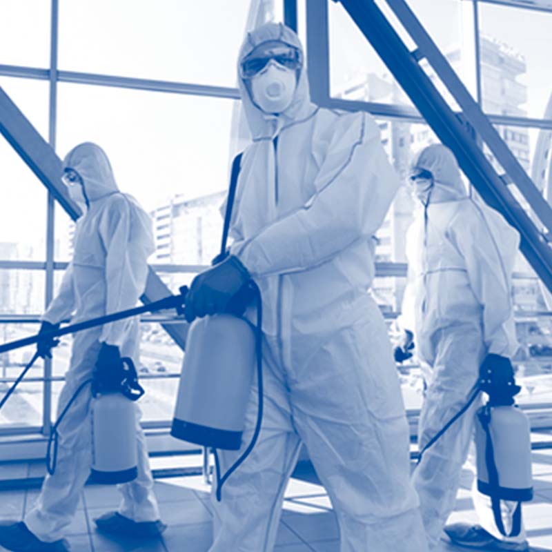 The Stages of Decontamination | Specialist Cleaning