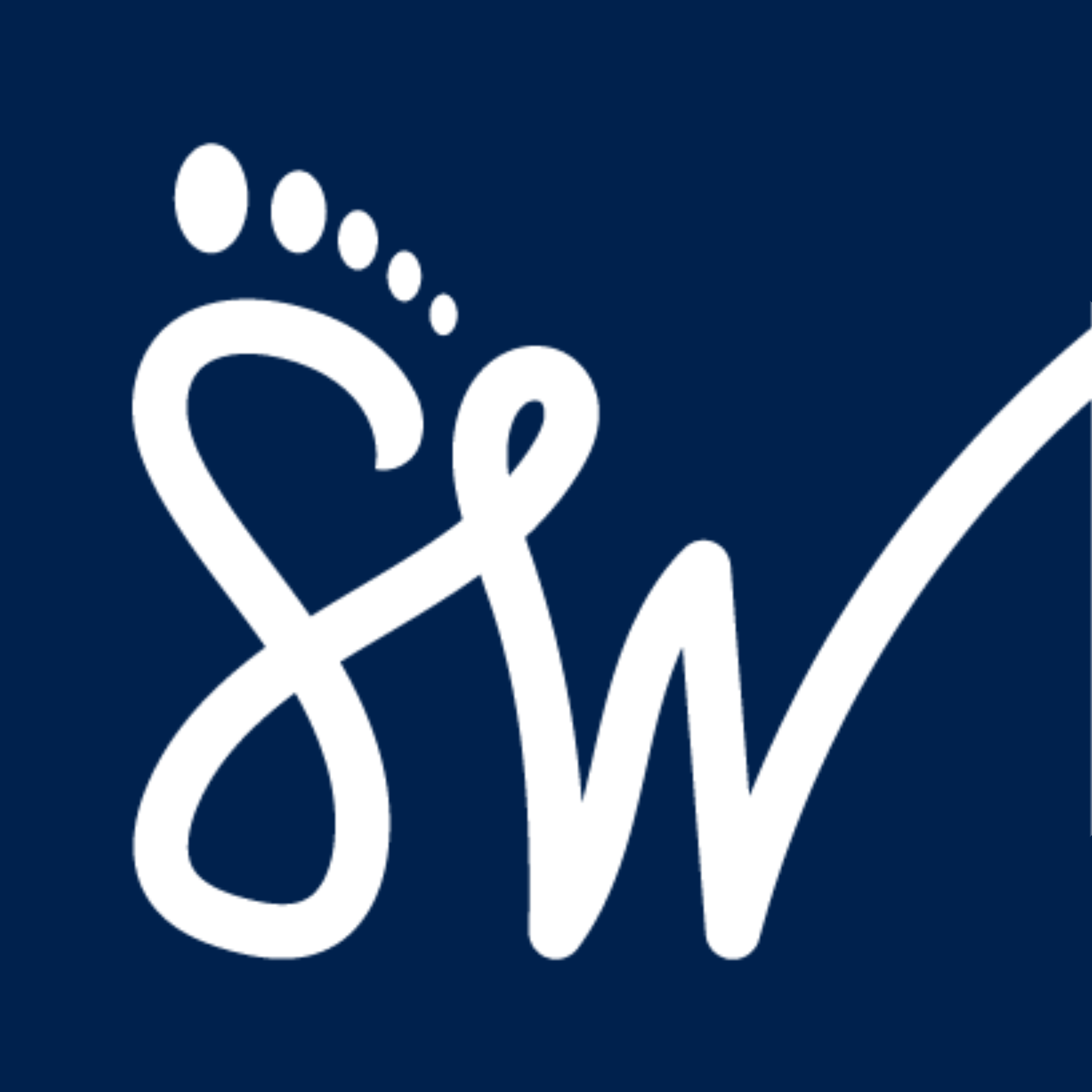 Stepward: Step by step, we help you to scale up your business