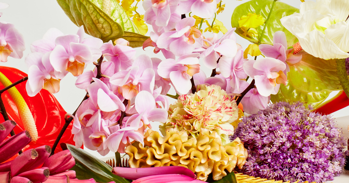 Cool, Modern & Unique Miami Florals | Calma Floral