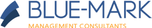 Home - Blue Mark Consultants | Focus. Align. Implement.