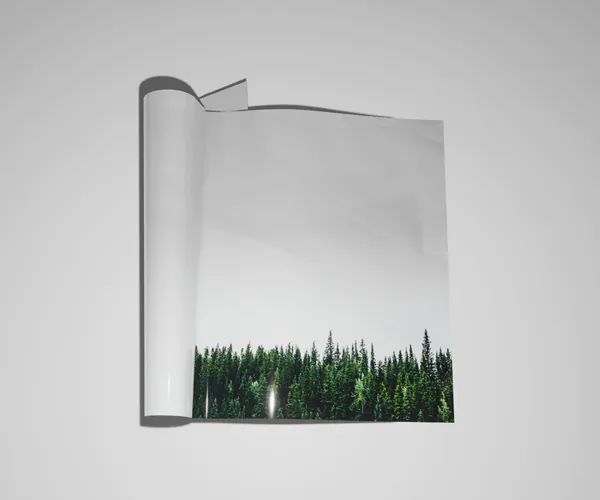 The sustainability of print: Why we can feel good (and green) about our ...