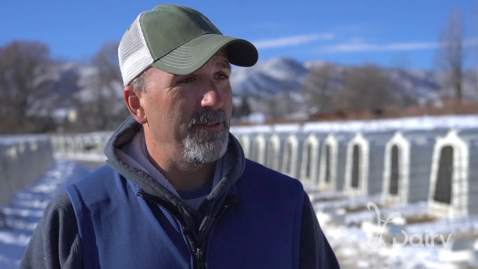 Veterinary Group & Diagnostic Lab | The Dairy Authority