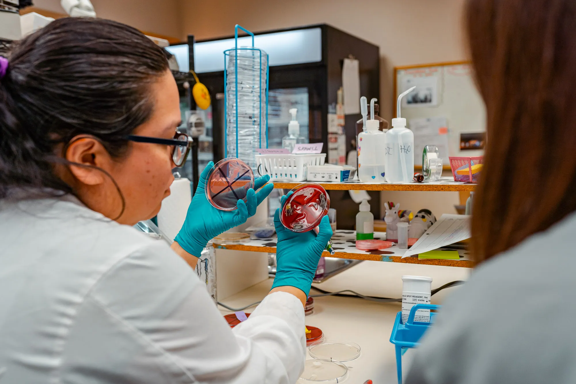 Lab Services For Dairy Farmers | The Dairy Authority