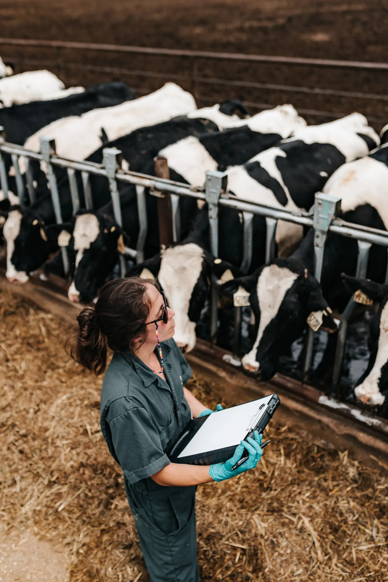 Non-Traditional Services For Dairy Farmers