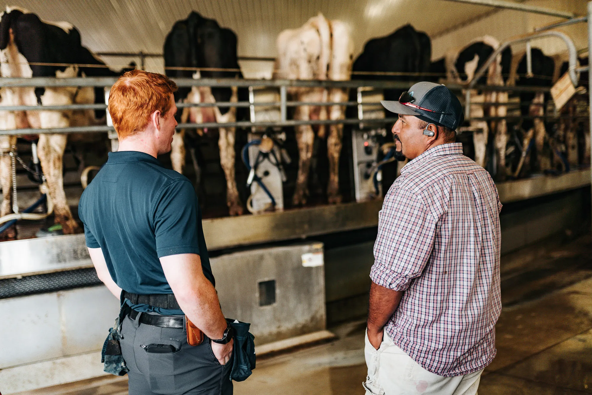 Non-Traditional Services For Dairy Farmers
