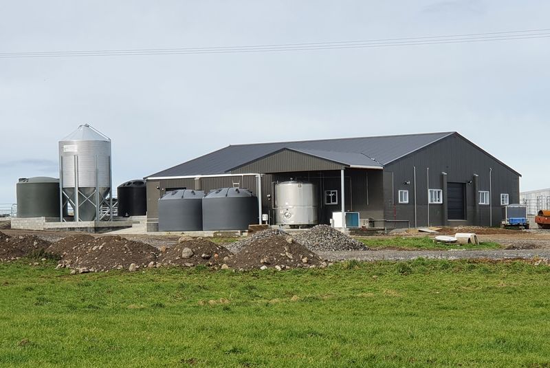 Hopwood Architects | Opunake Rotary Milking Shed