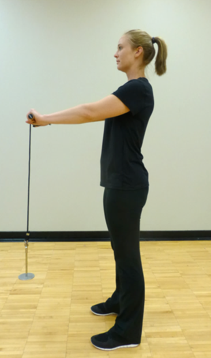 Wrist & Hand - Stretching, Exercises, & Posture | Work-Fit