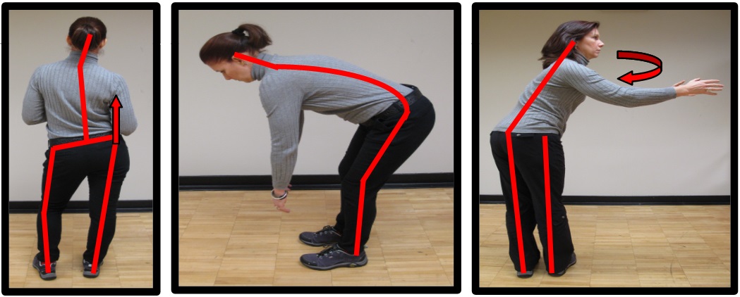 Hips - Stretching, Exercises, & Posture | Work-Fit