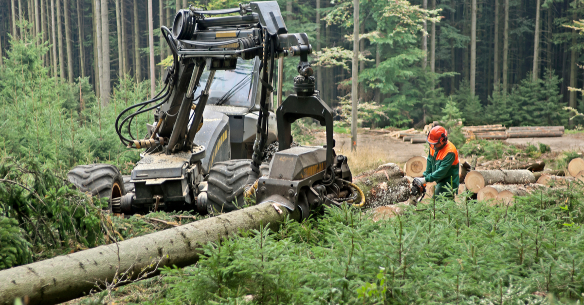 Injury Prevention Within the Logging Industry | Work-Fit Blog