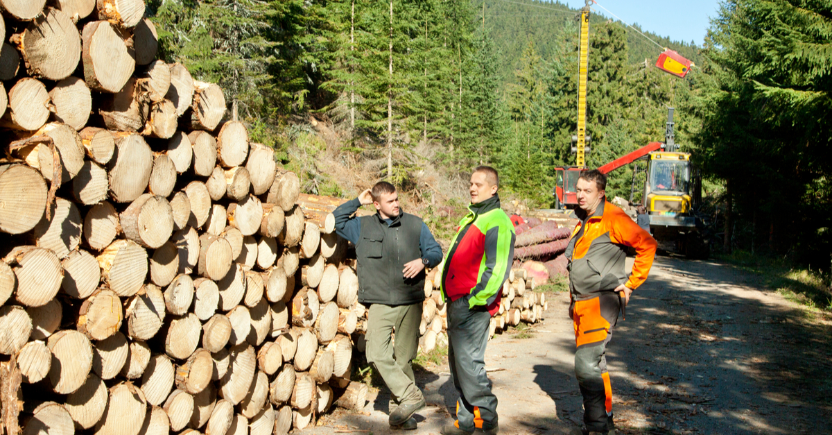 Injury Prevention Within the Logging Industry | Work-Fit Blog
