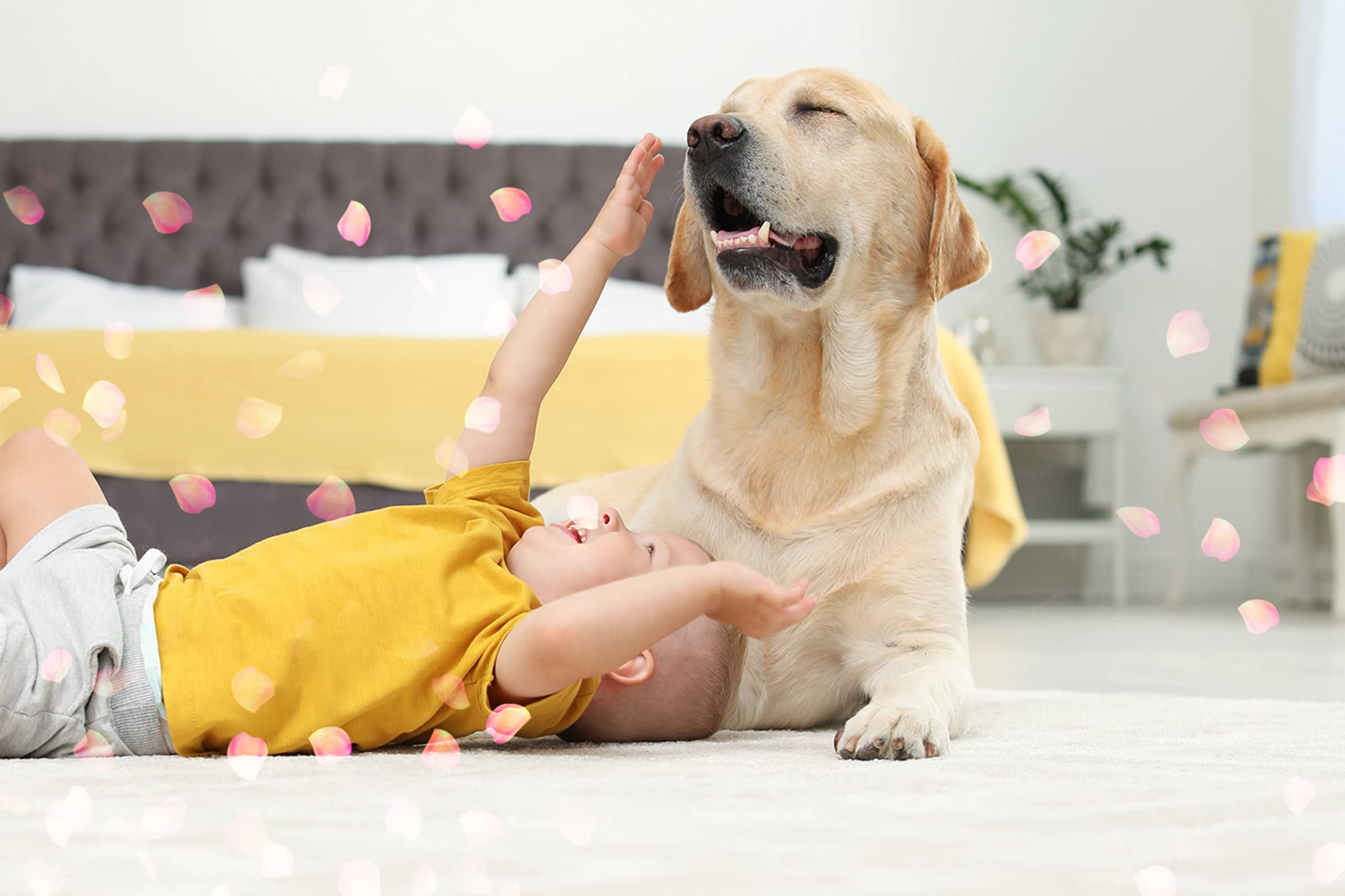 Smells Begone - Blue Wheel