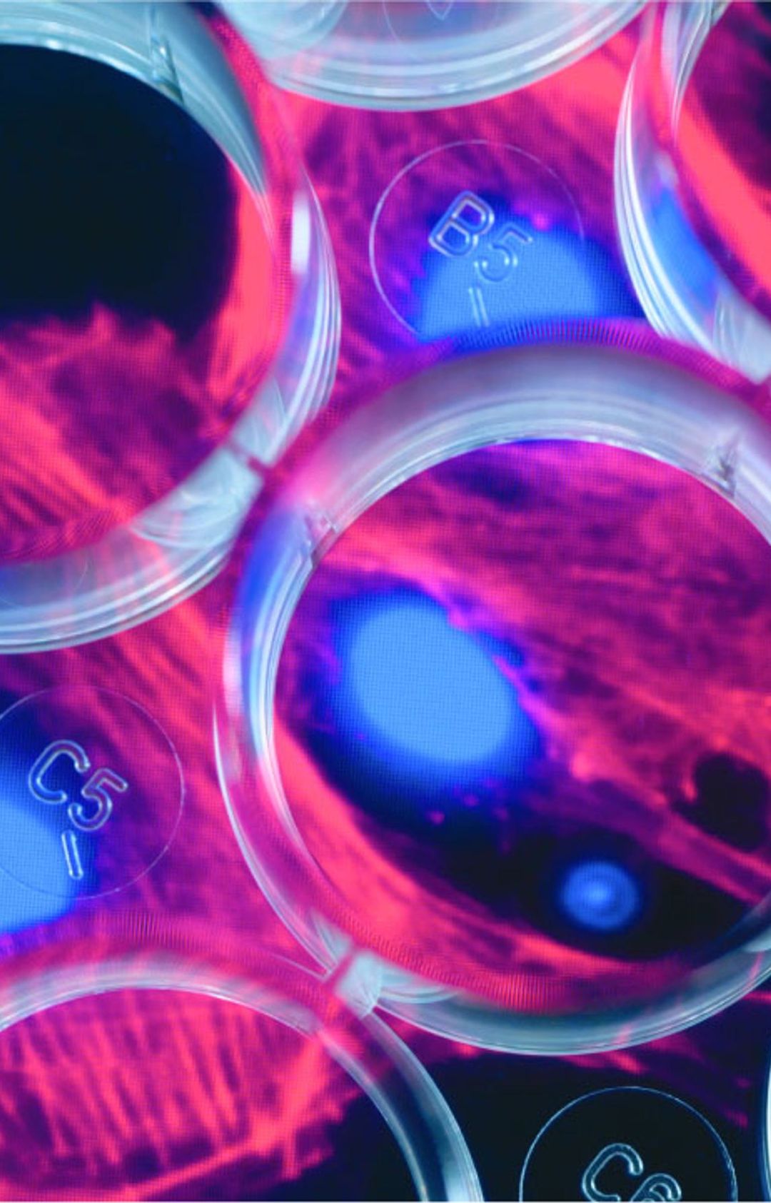 About Us | Collaboration for Better Research and Patient Outcomes | Syntropy