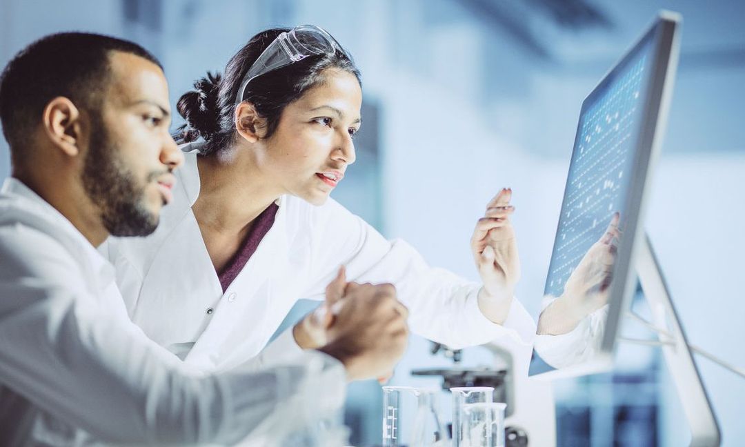 Syntropy | A Catalyst for Collaboration