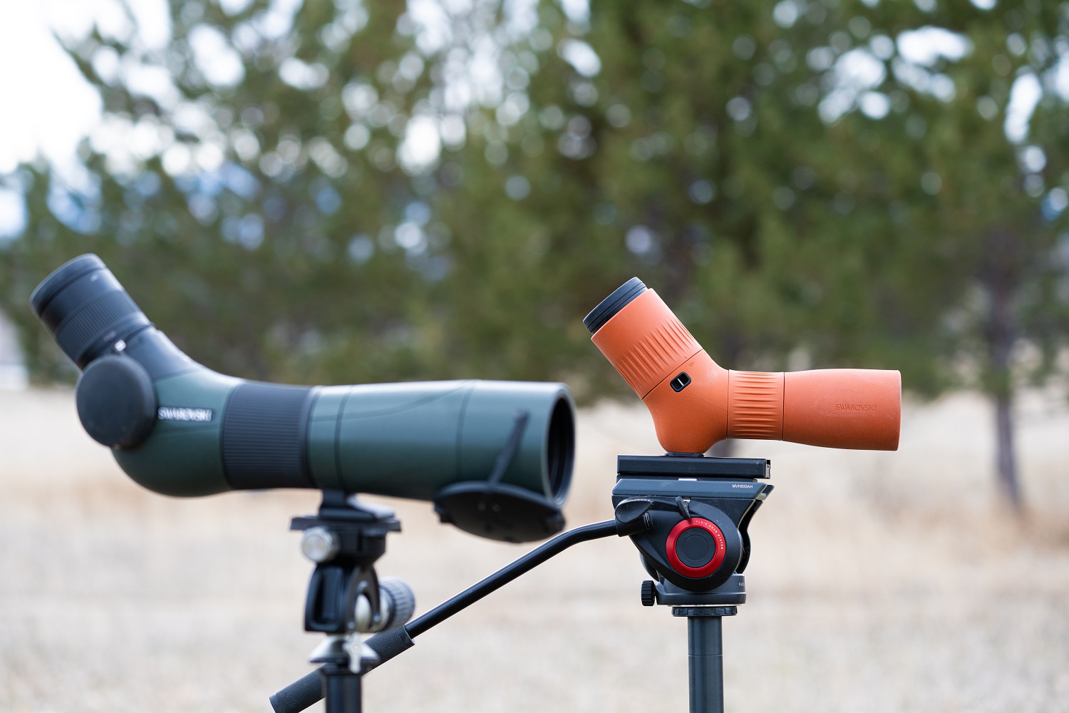 Arizona Field Optics for Birders & Hunters | The Lookout Prescott ...