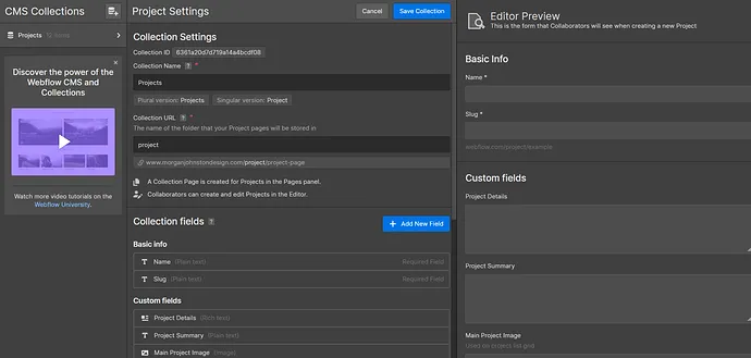 10 key things to know before starting a project in Webflow