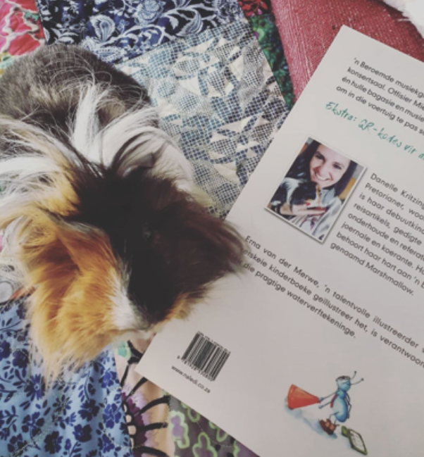 The Squiggle Wiggles - Book Preview