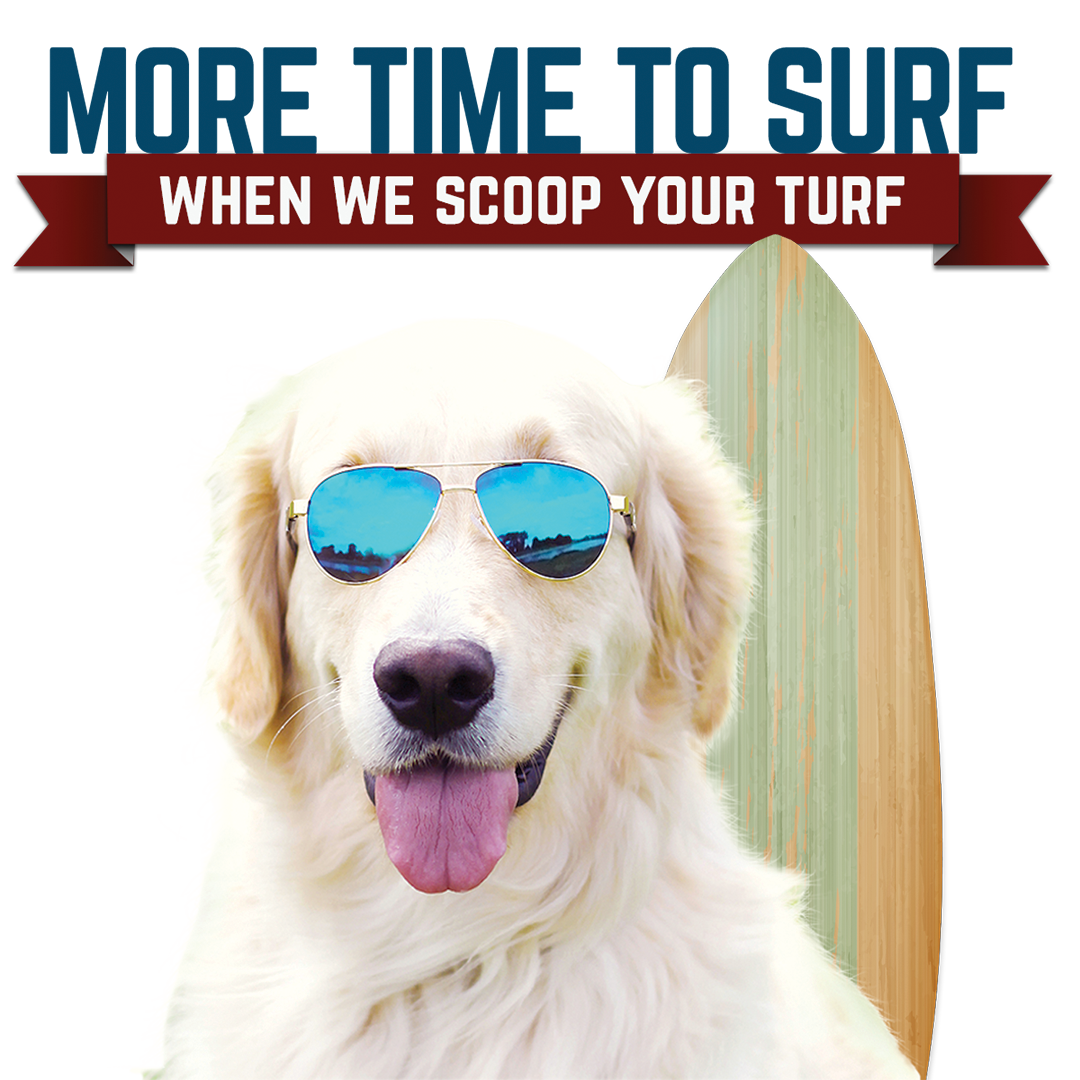 Poop Scoop Soldiers at Robt Devane blog