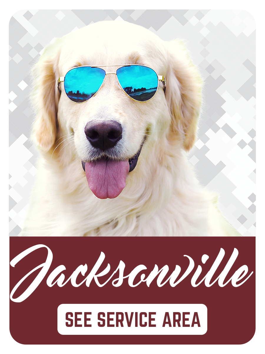 Poop Scoop Soldiers at Robt Devane blog