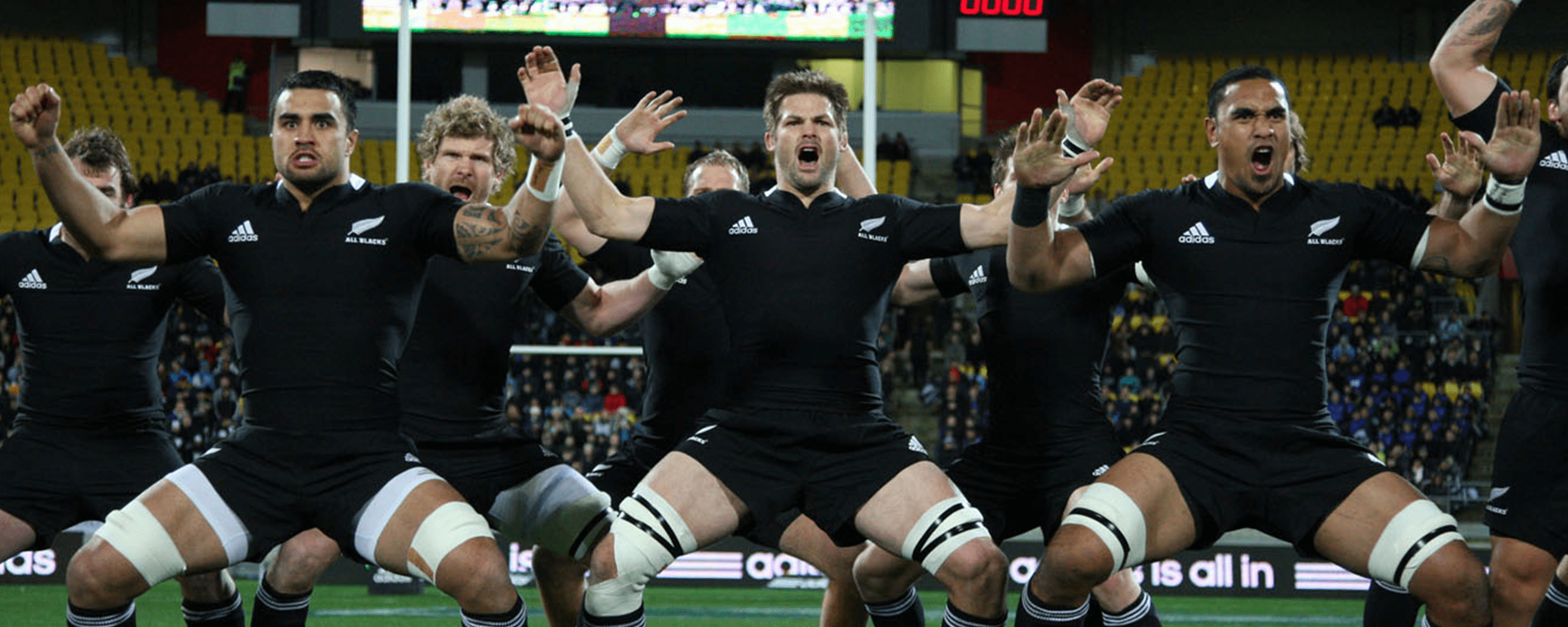 What the World’s Best Rugby Team Can Teach Us About Company Culture ...