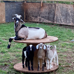 TUCKER’S FARM | Holding Company