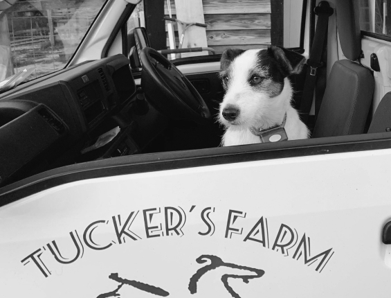 TUCKER’S FARM | Holding Company