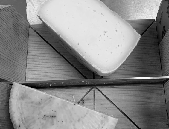 TUCKER’S FARM | Holding Company