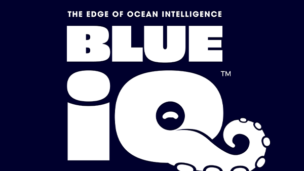 BLUEiQ’s Novel OpenEar Hydrophone Aims to Protect North Atlantic Right ...