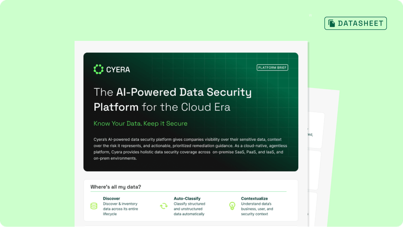 Cyera | Cyera Platform Brief