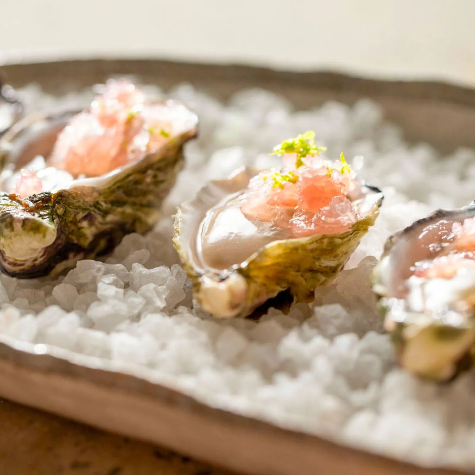 Albany Rock Oysters with Grapefruit Granita, Finger Lime & Lime Zest ...