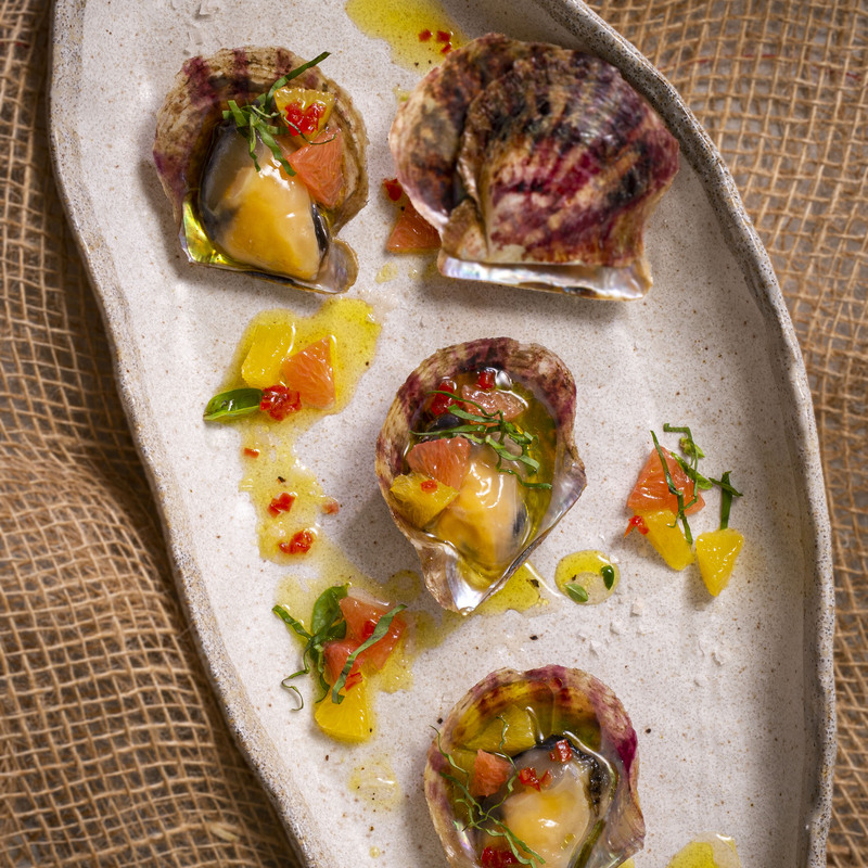 Albany Rock Oysters & Akoya | Leeuwin Coast