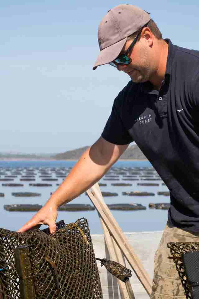 Albany Rock Oysters & Akoya | Leeuwin Coast