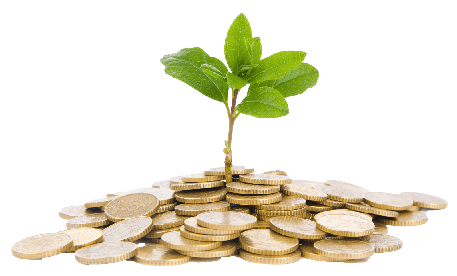 Private Treatment Fees | Shelley & Pope Dental Practice