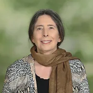 MEER Team | Restoring Earth's Energy Balance