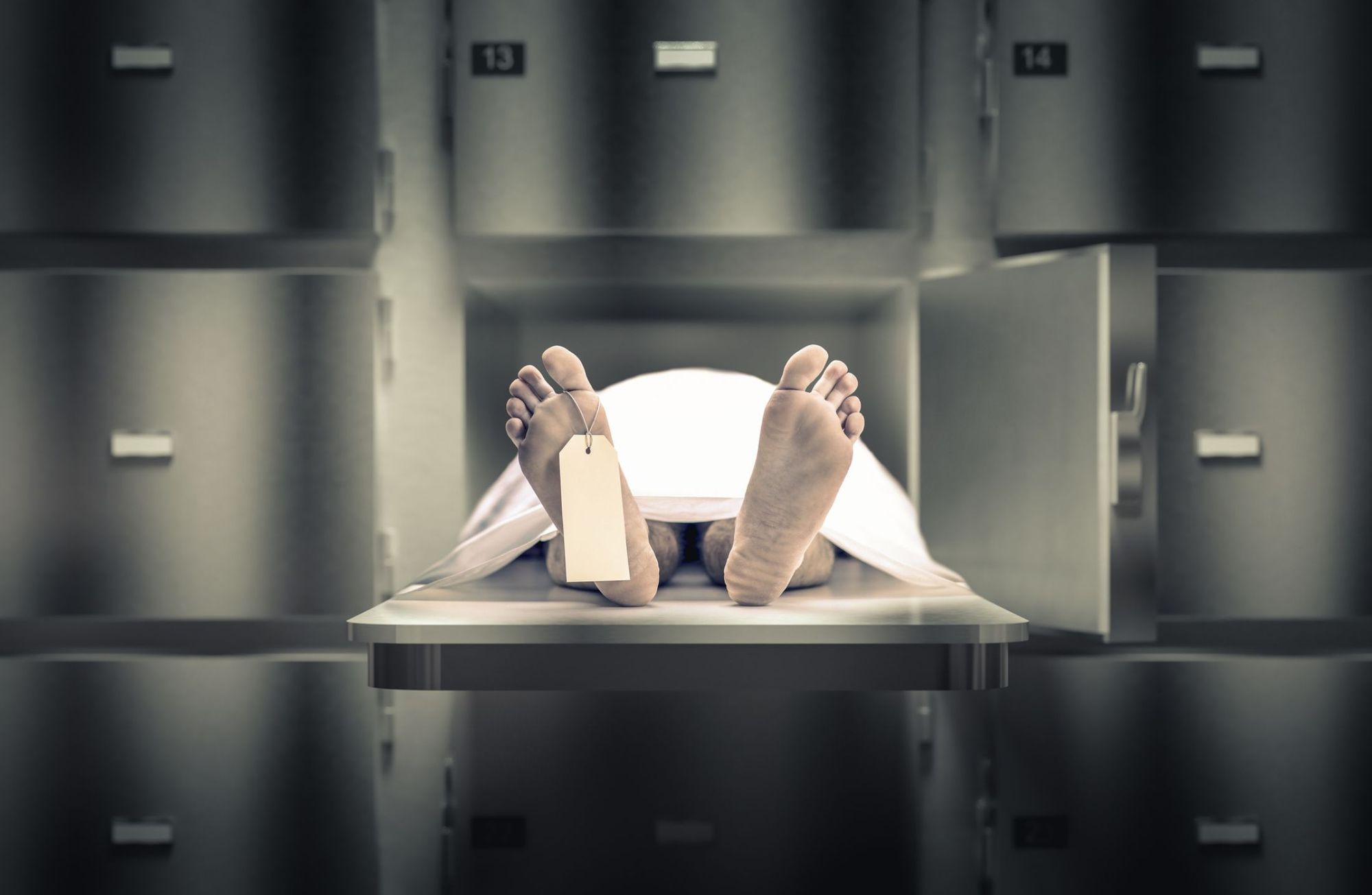 Blog Afya Educação Médica - Curso com cadáver fresh frozen: entenda ...