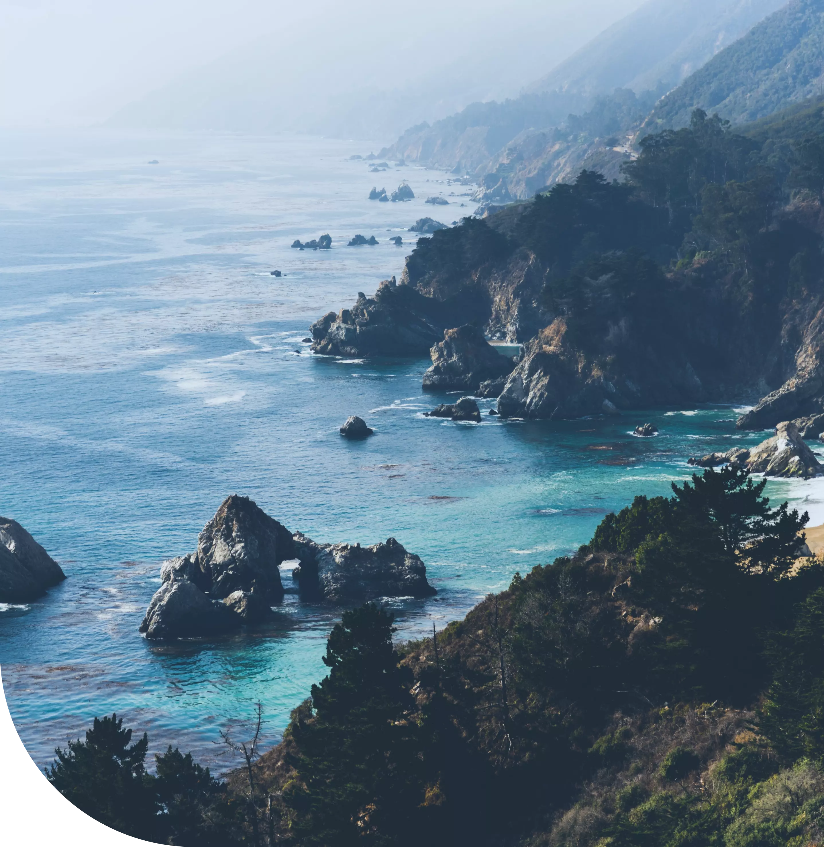 Springfox Report 2023