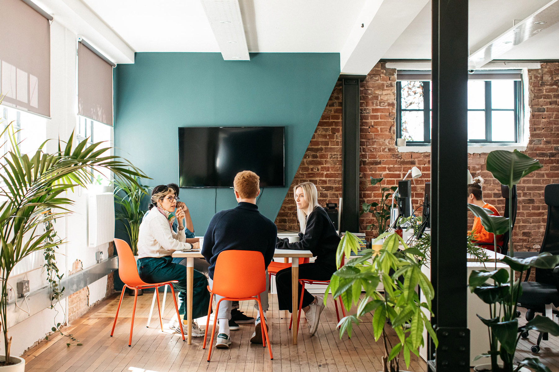 Stella | Blog | Buff Motion | Brighton Motion & Animation Studio