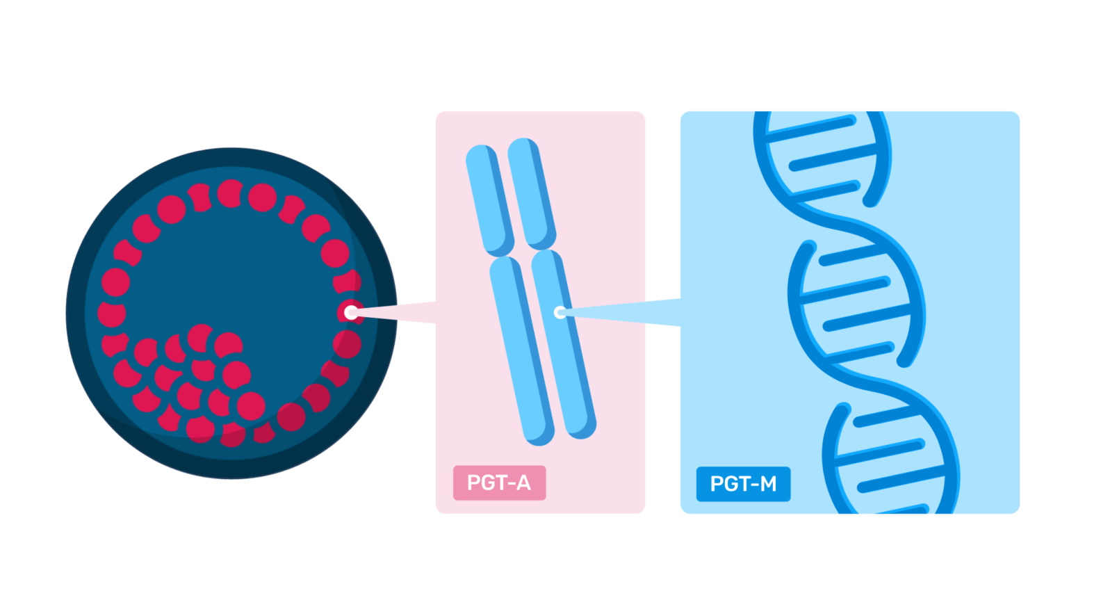EngagedMD & CooperSurgical - Genetics Patient Education