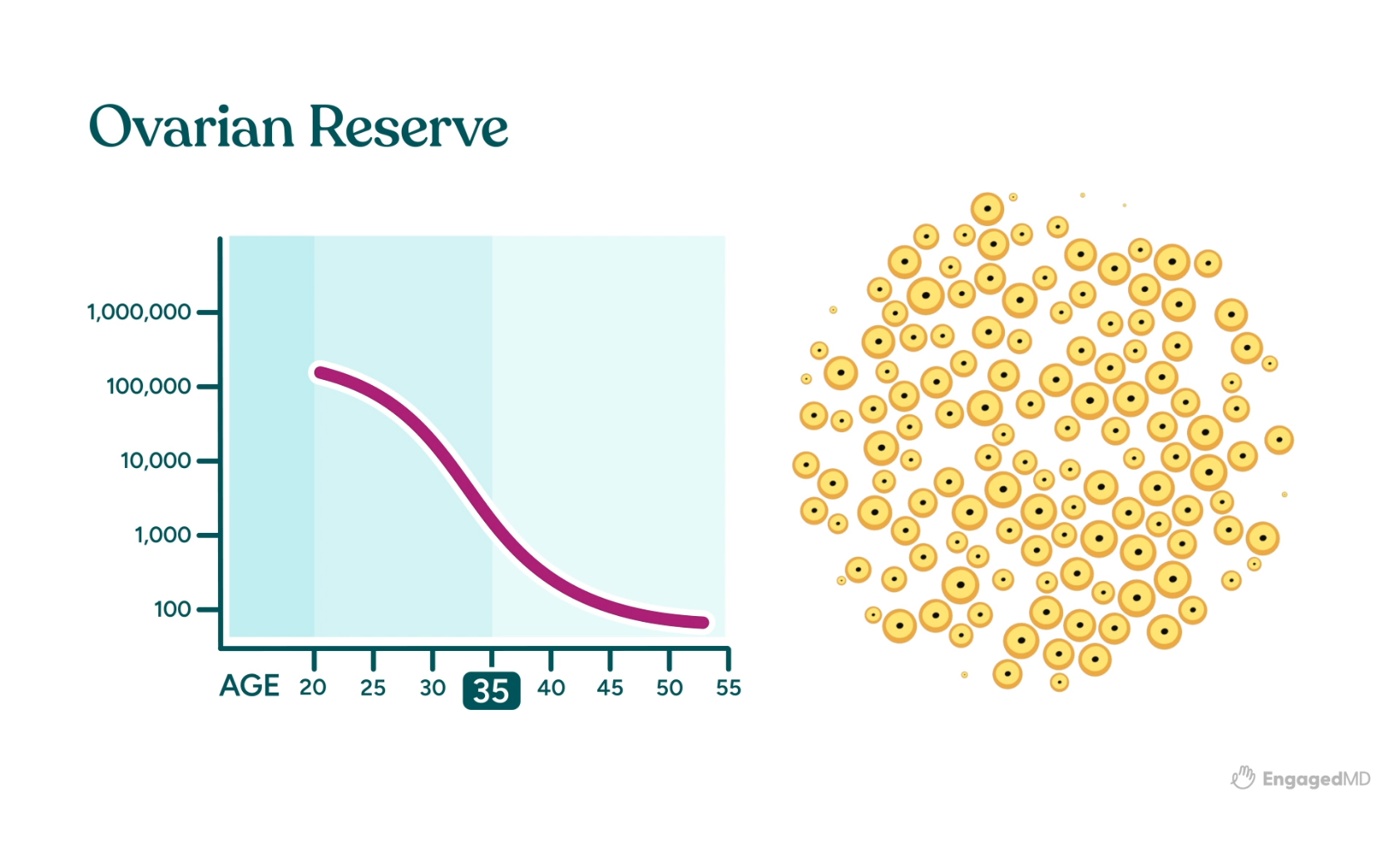 EngagedMD US Fertility eLearning Content