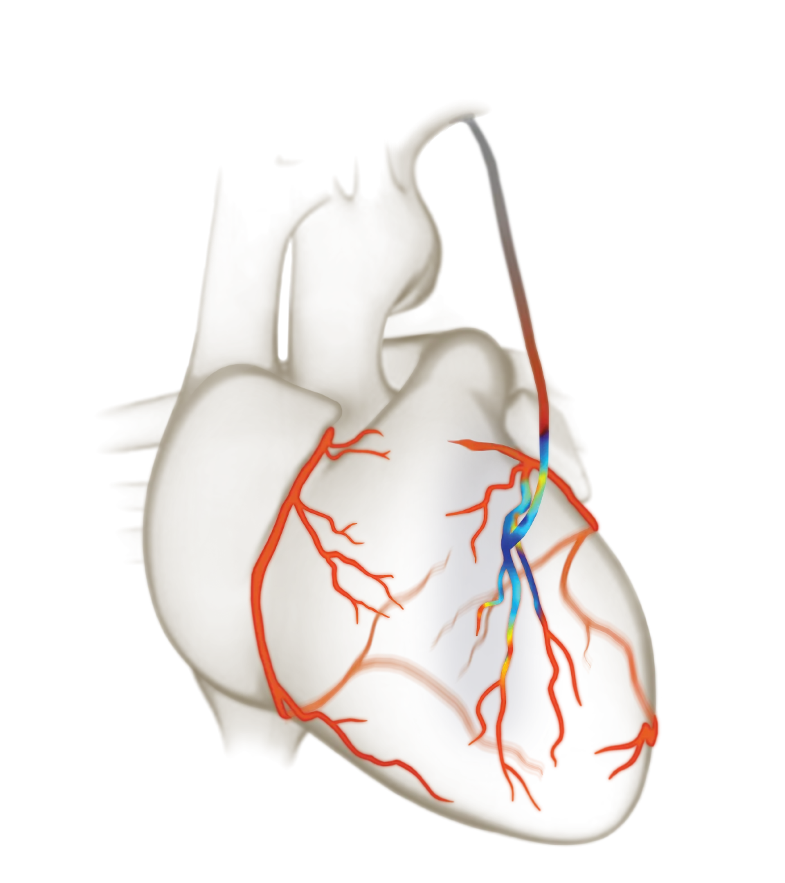 Medistim Knowledge Hub: Elevate Your Surgical Expertise