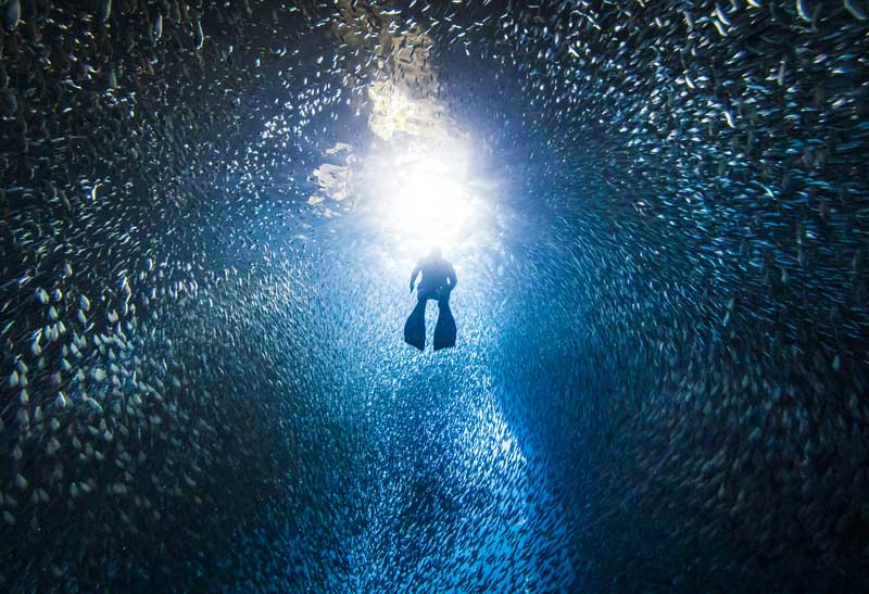 Gilroy | B2B Marketing Agency