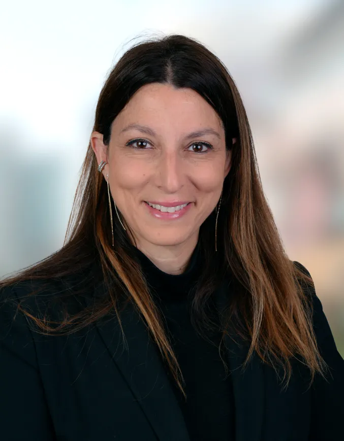 The Sapir Organization | Company