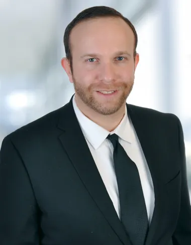 The Sapir Organization | Company