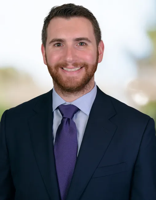 The Sapir Organization | Company