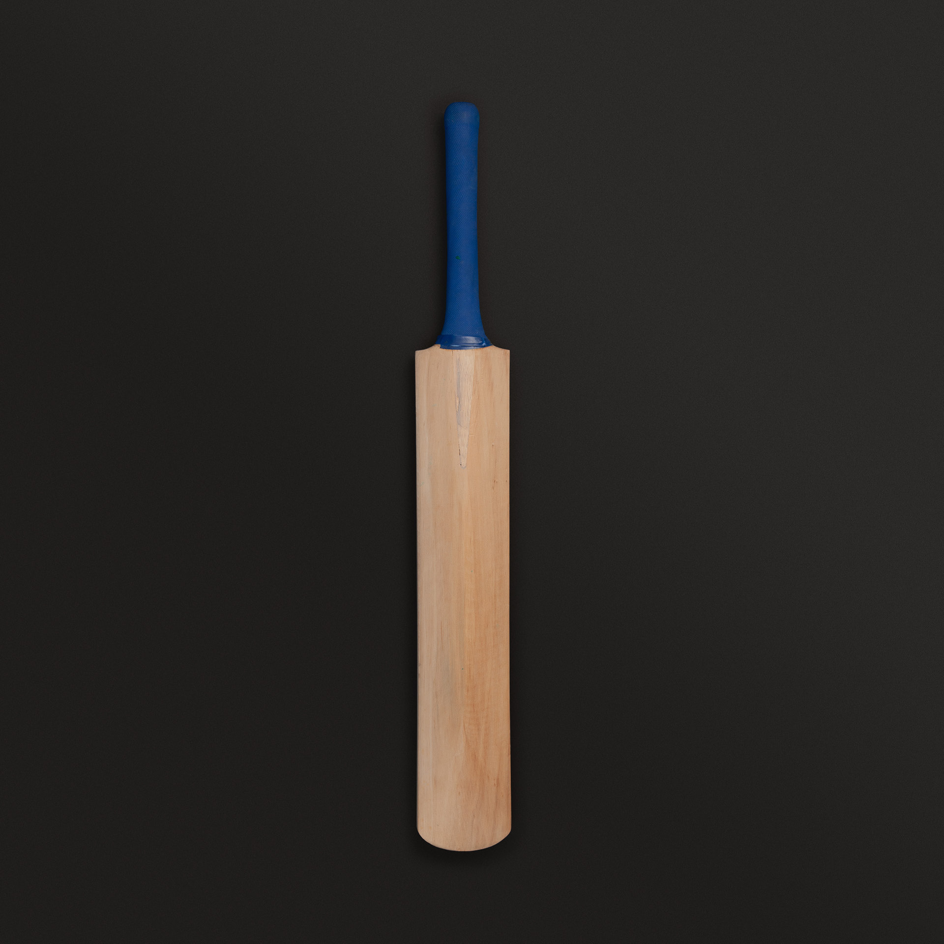 New Zealand Women's Cricket Team Signed Bat