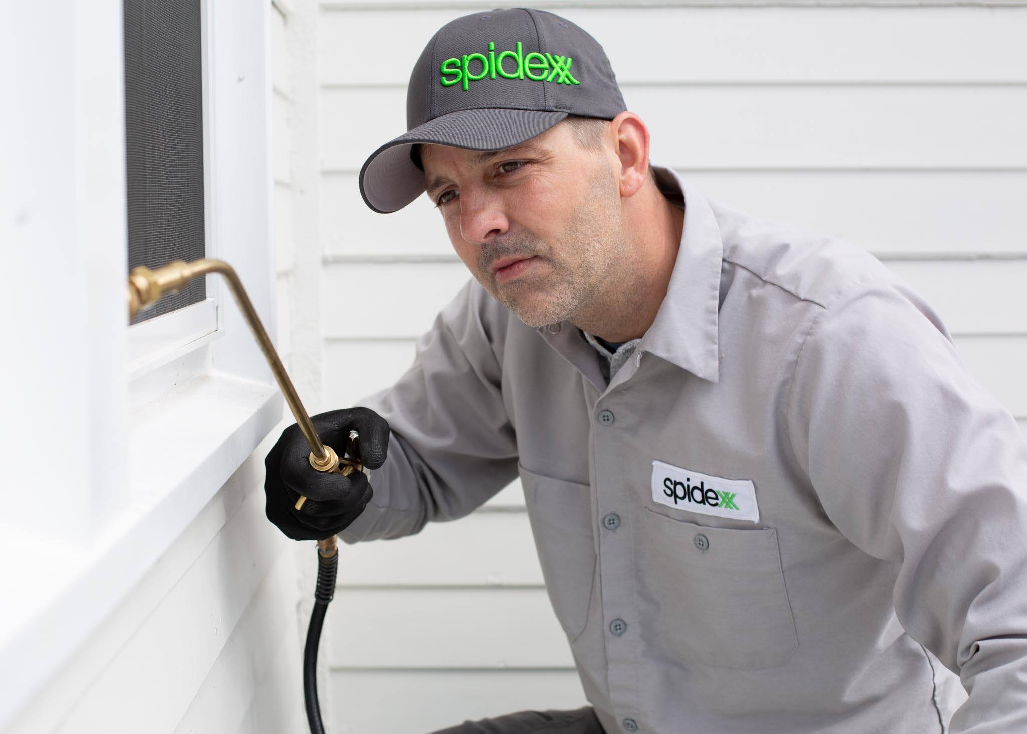 Expert Pest Control & Exterminator Service - Spidexx
